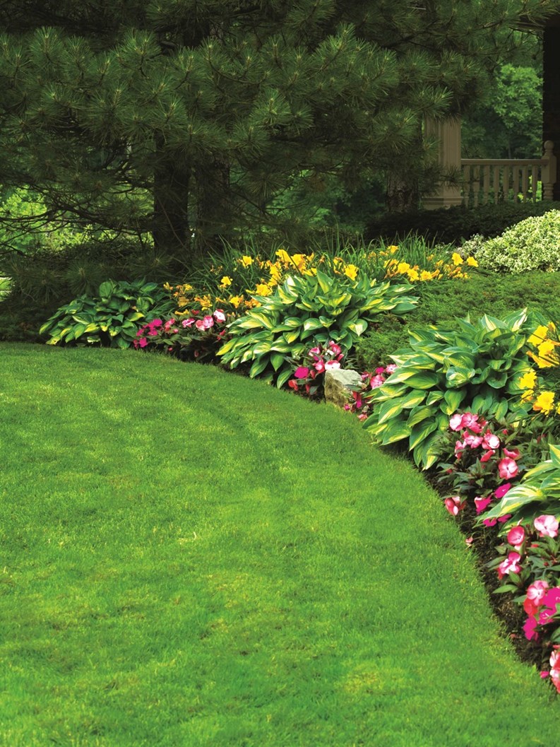 Long-Term Savings for Your Condo Community - Eco-Friendly Landscaping ...