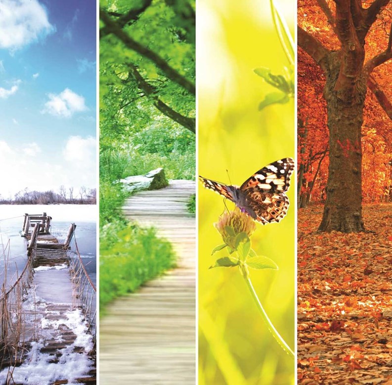 Keeping Beautiful Year-Round - Seasonal Landscape Maintenance ...